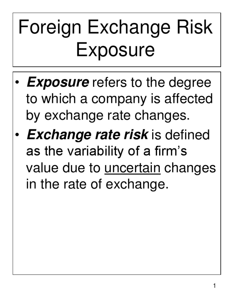 Foreign Exchange Risk Exposure | PDF | Hedge (Finance) | Balance Sheet