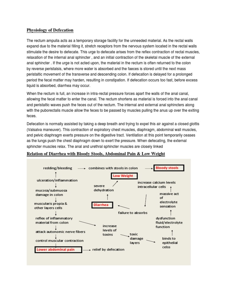 Physiology of Defecation: Bloody Stools | PDF | Rectum | Gastroenterology