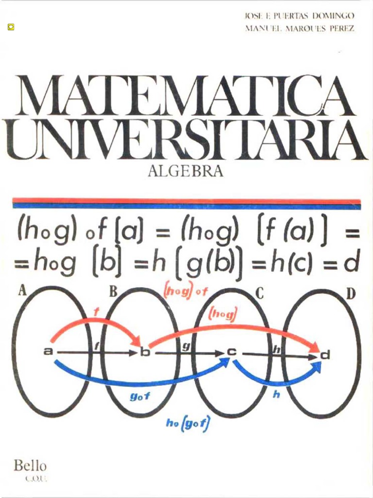 Matemáticas Universitarias - Algebra | PDF