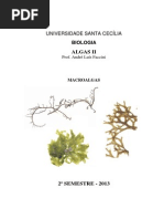 Aula5 Algas Pardas | PDF | Célula (Biologia) | Organismos