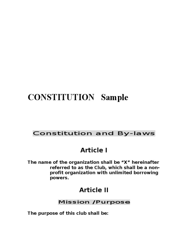 Constitution Sample | PDF | Committee | Chairman