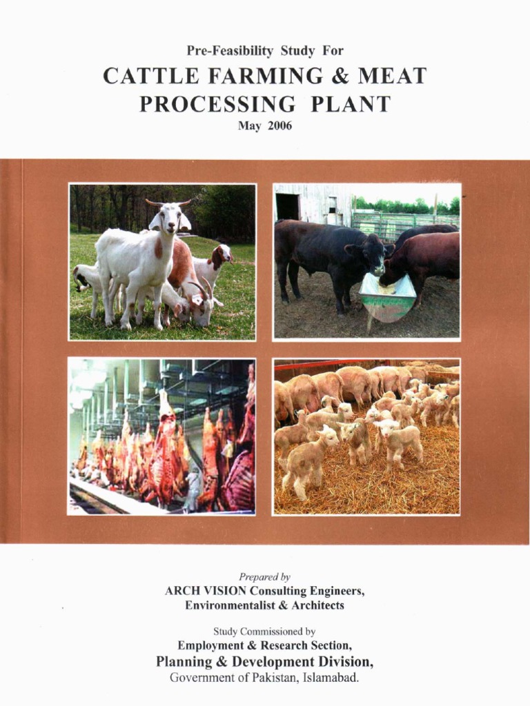 Cattle Farming & Meat Processing Plant | PDF | Livestock | Cattle