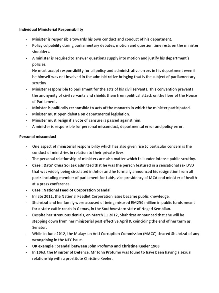 Individual Ministerial Responsibility | Government | Politics