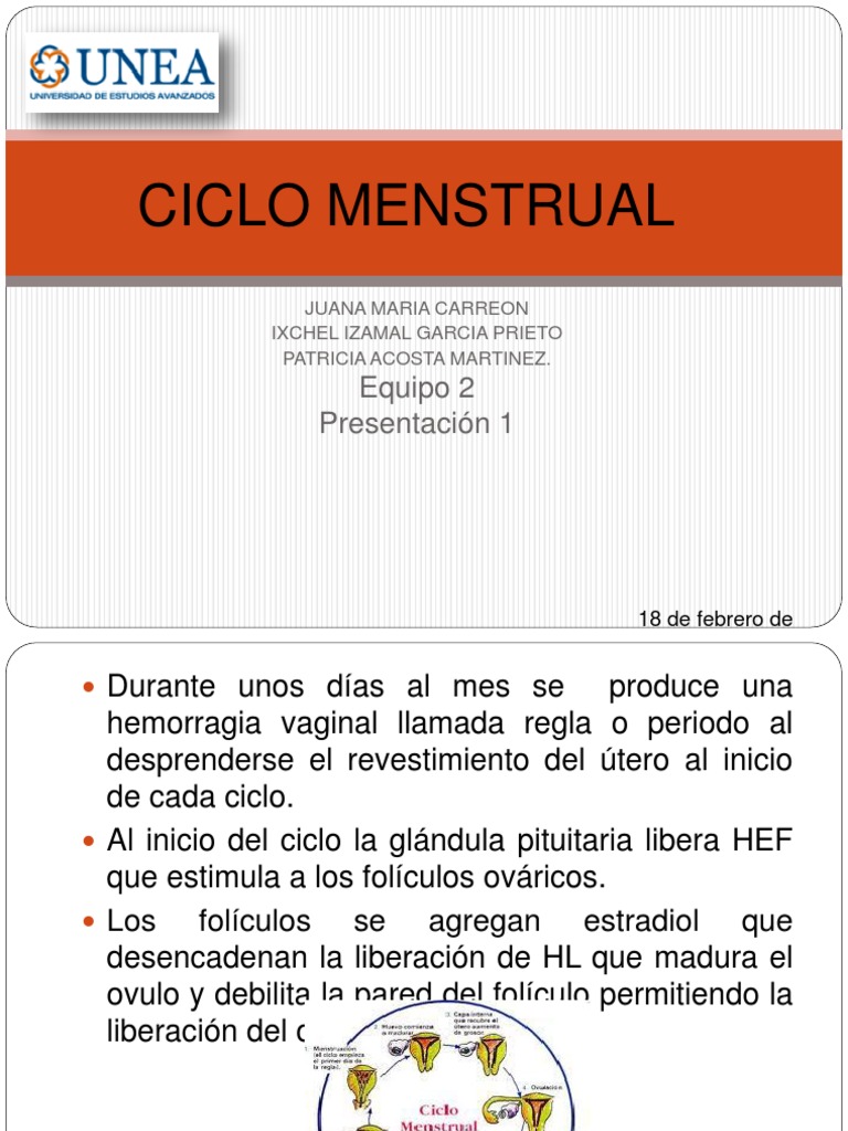 Ciclo Menstrual | PDF | Ciclo menstrual | Menstruación