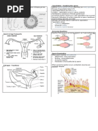 USMLE Step 1 Equations | Diffusion