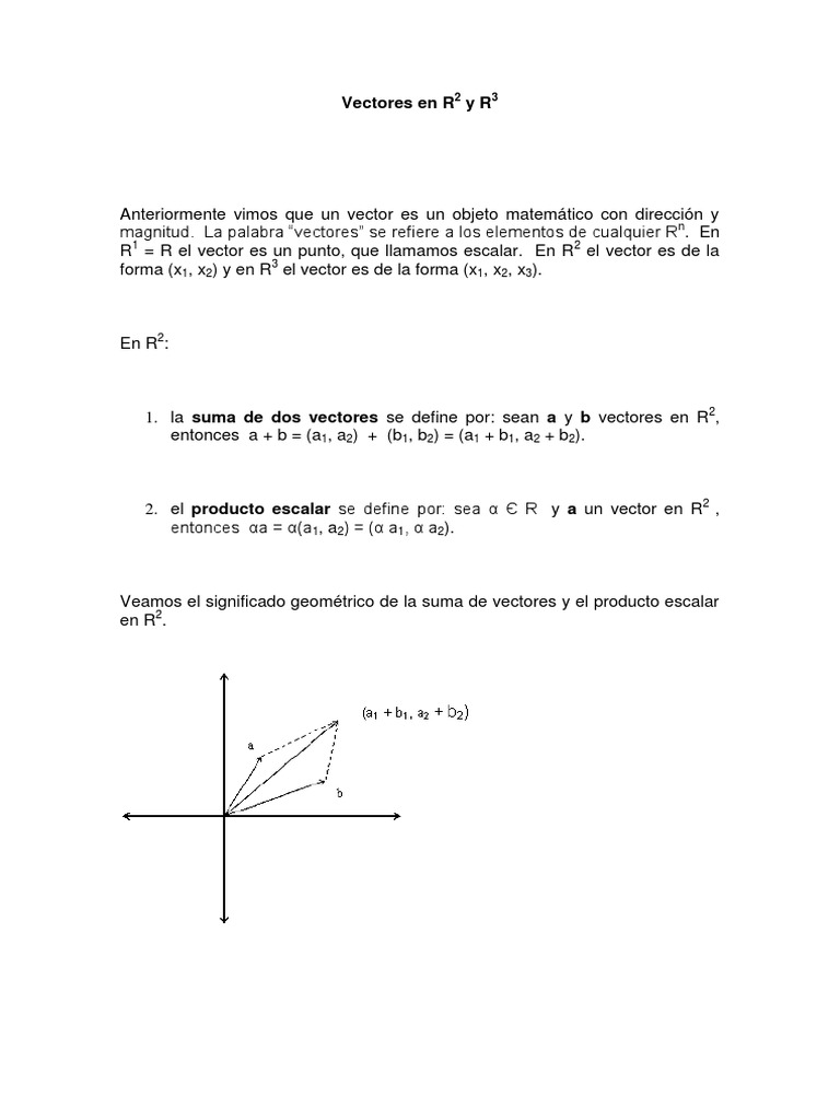 Vectores en R2 y R3 | PDF | Matriz (Matemáticas) | Espacio vectorial