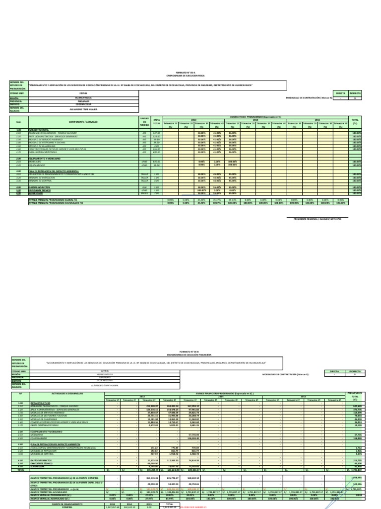 Formato 5a y 5b | PDF