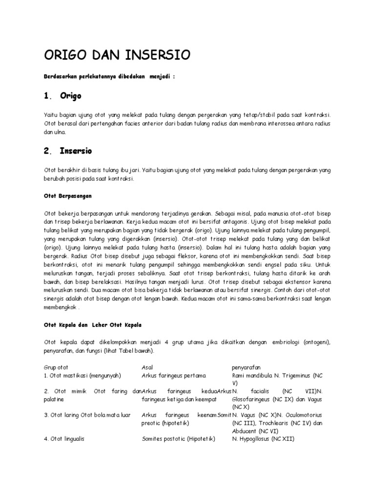Anatomi Otot: Origo, Insersio, dan Kinesiologi | PDF | Kajian Bahasa ...