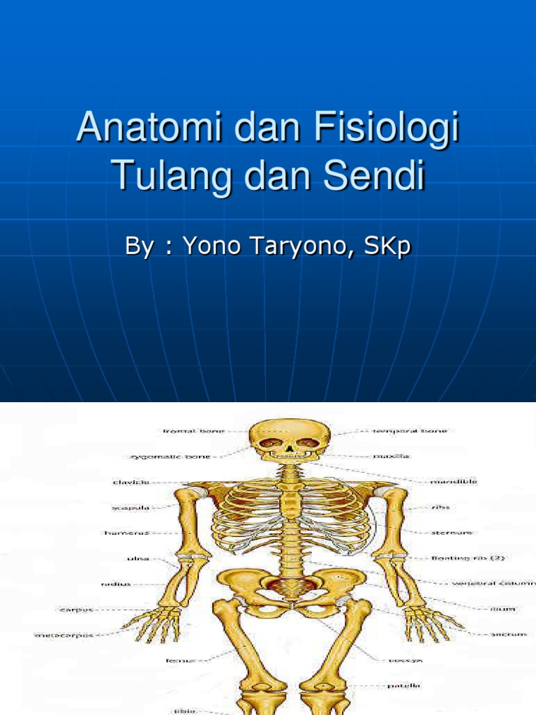 Anatomi Dan Fisiologi Tulang Dan Sendi | PDF