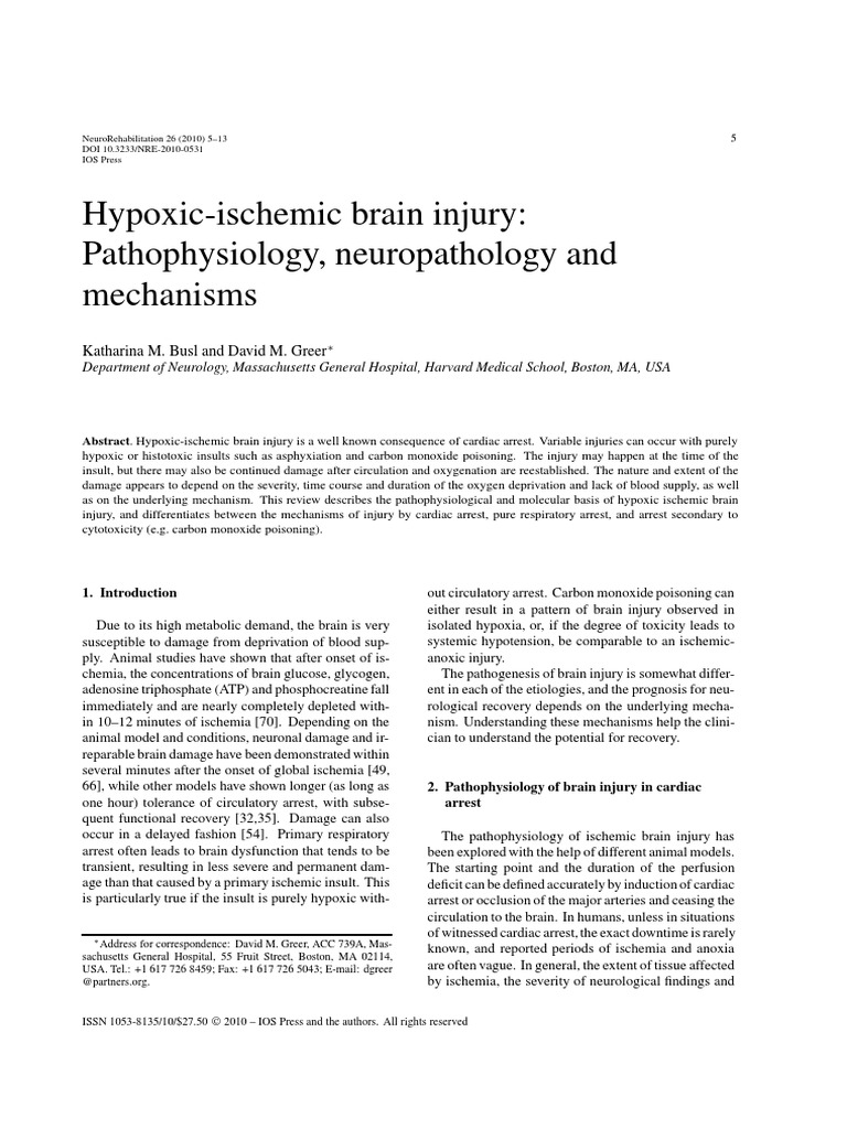 2010 Hypoxic Ischemic Brain Injury Pathophysiology Neuropathology and ...