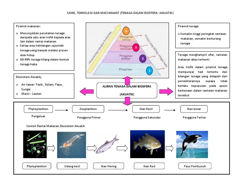 Mind Map 2 | PDF | Sains & Matematika