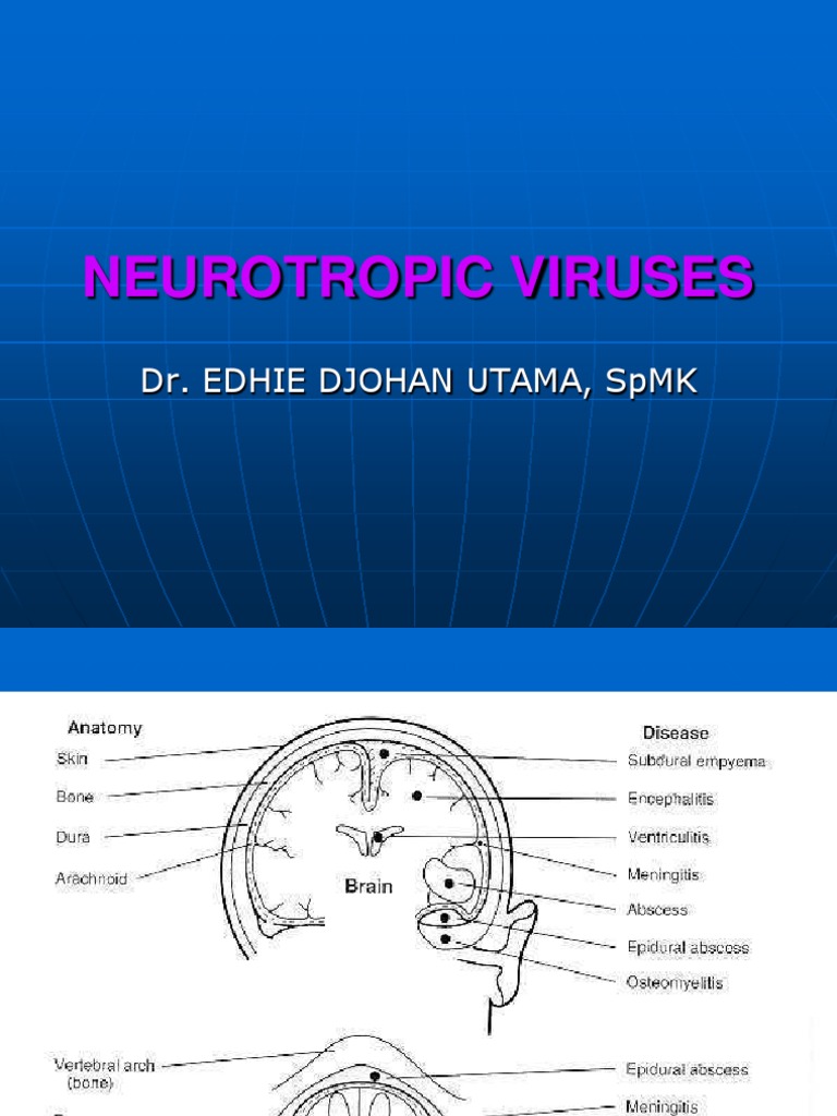 Neurotropic Viral | Rabies | Poliomyelitis
