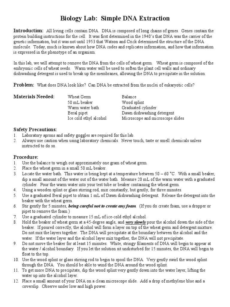 DNA Extraction | PDF | Dna Replication | Dna
