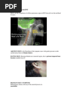 Scottie Dog Sign (Spine) Radiology Reference Article | PDF | Vertebral ...