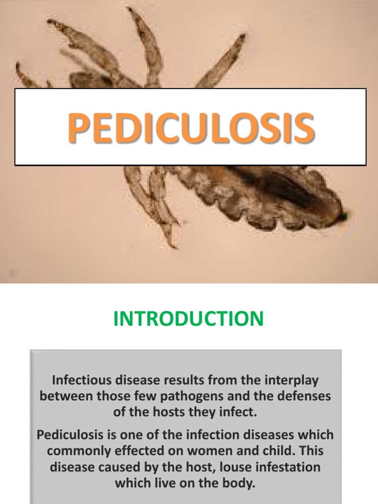 Pediculosis | PDF | Medical Specialties | Clinical Medicine