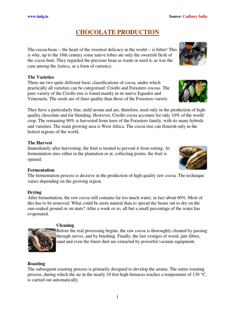 Chocolate Production | PDF | Cooking, Food & Wine