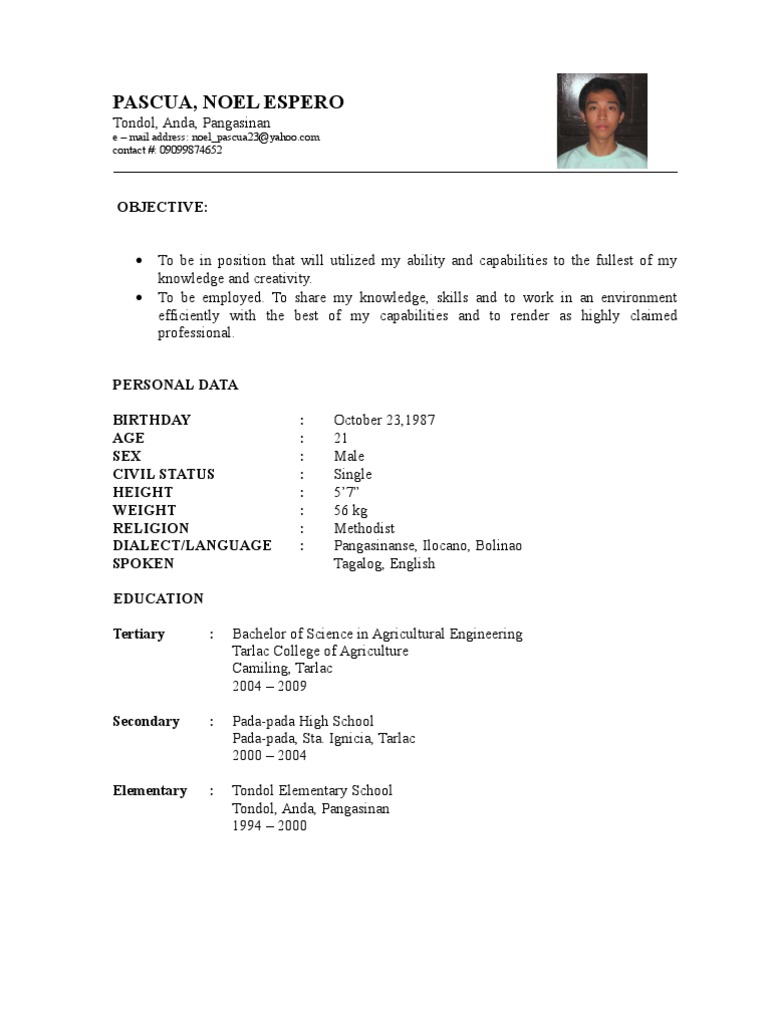 Noel Pascua Resume | PDF