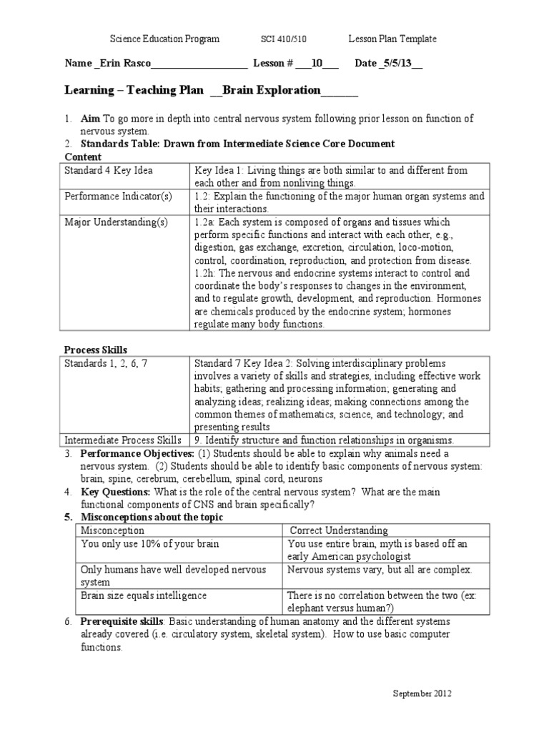 Lesson Plan Brain | PDF | Nervous System | Central Nervous System