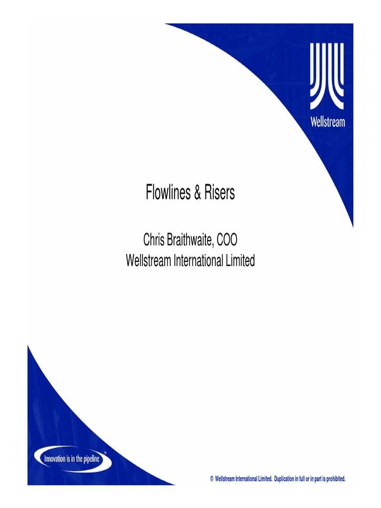 Flowlines and Risers | PDF