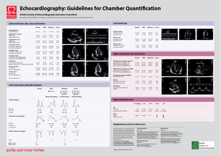 Guidelines for Chamber Quantification | Echocardiography | Ventricle ...