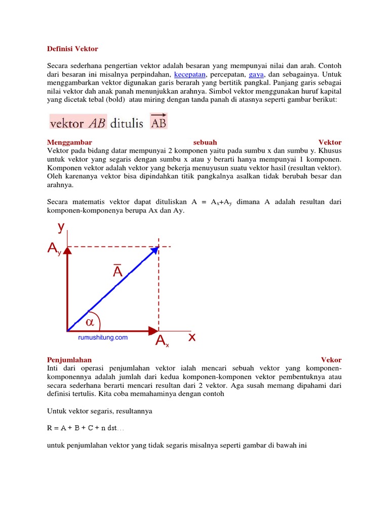 Definisi Vektor | PDF