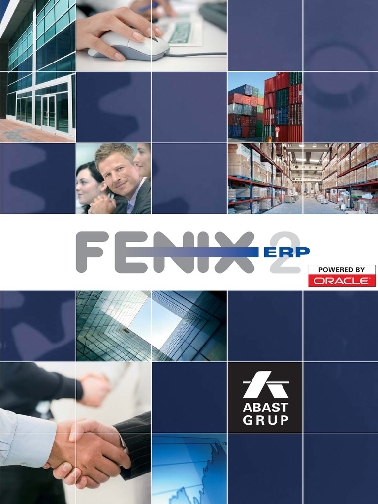 Fenix Erp 2 | PDF | Planificación de recursos empresariales | Software