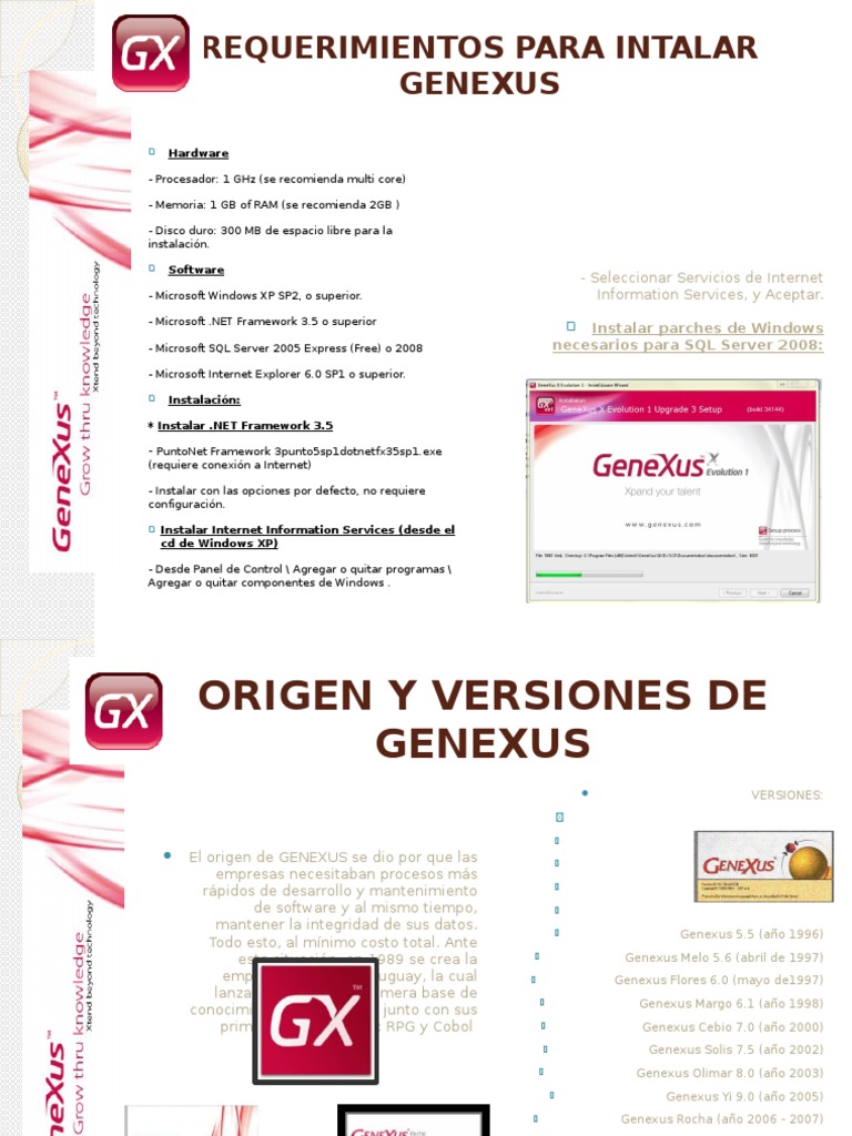 Requerimientos para Intalar Genexus | PDF | Microsoft | Windows XP