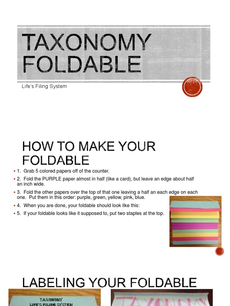 Taxonomy Foldable | PDF | Taxonomy (Biology) | Cell (Biology)