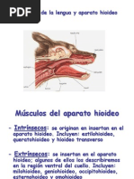Fórmulas Vertebrales de Animales | PDF