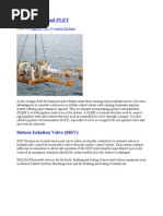 Subsea PLEM - PLET PDF | PDF | Subsea (Technology) | Pipeline Transport
