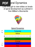Spiral Dynamics: Don Edward Beck & Christopher C. Cowan | PDF