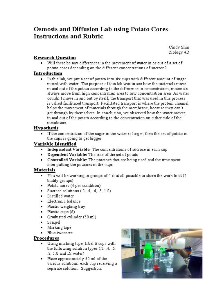 Osmosis and Diffusion Lab Using Potato Cores Lab | Download Free PDF ...