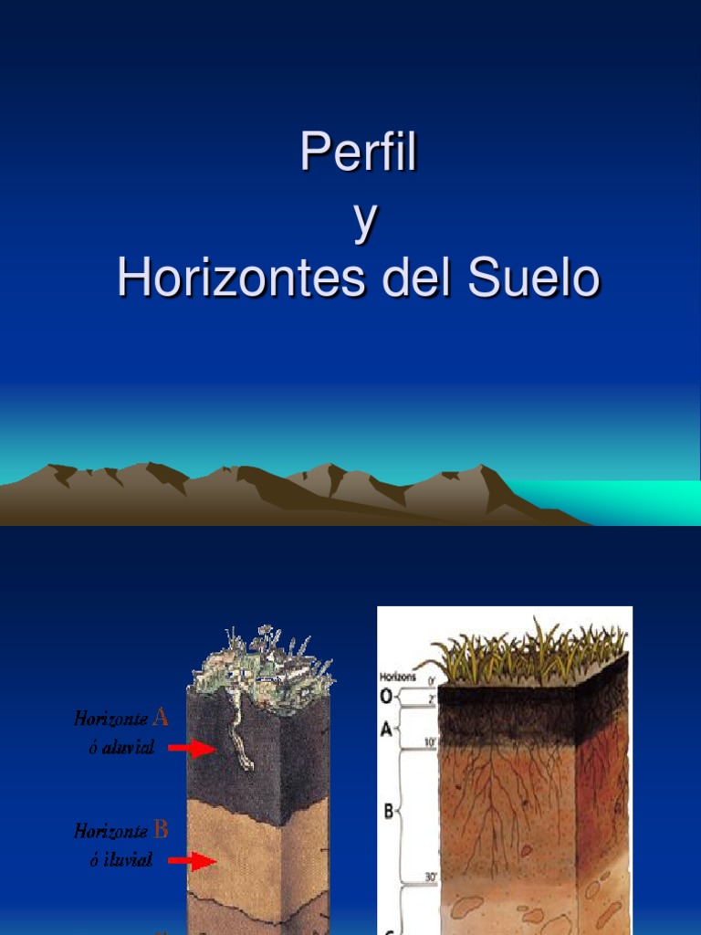 Horizontes Del Suelo Y Sus Características – CJCP