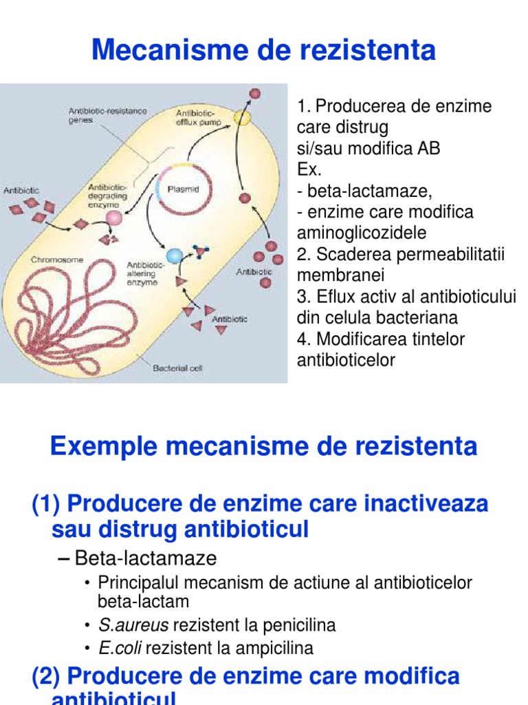 Antibiotice Mecanisme Rezistenta | PDF