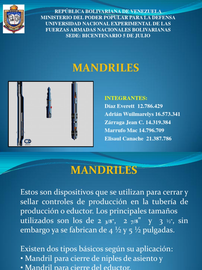 Mandriles Presentación | PDF