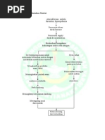 Pathway Defisit Nutrisi - Perumperindo.co.id