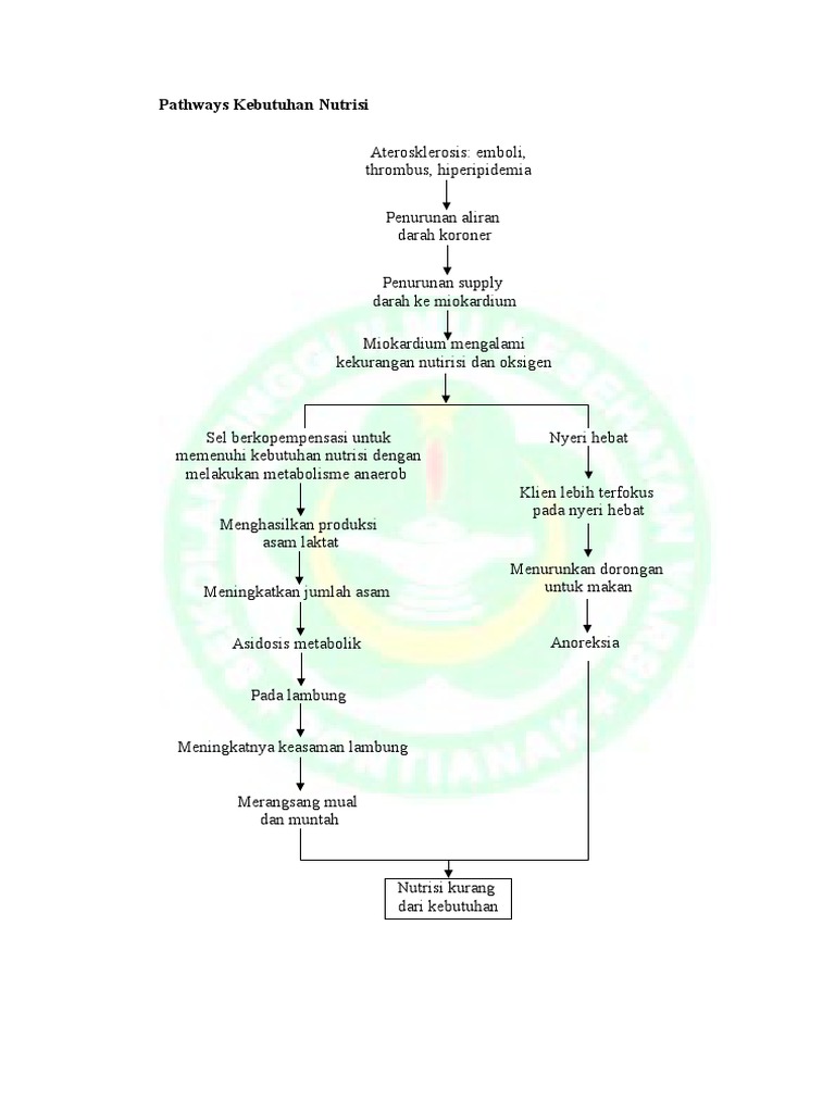 Pathways Kebutuhan Nutrisi | PDF