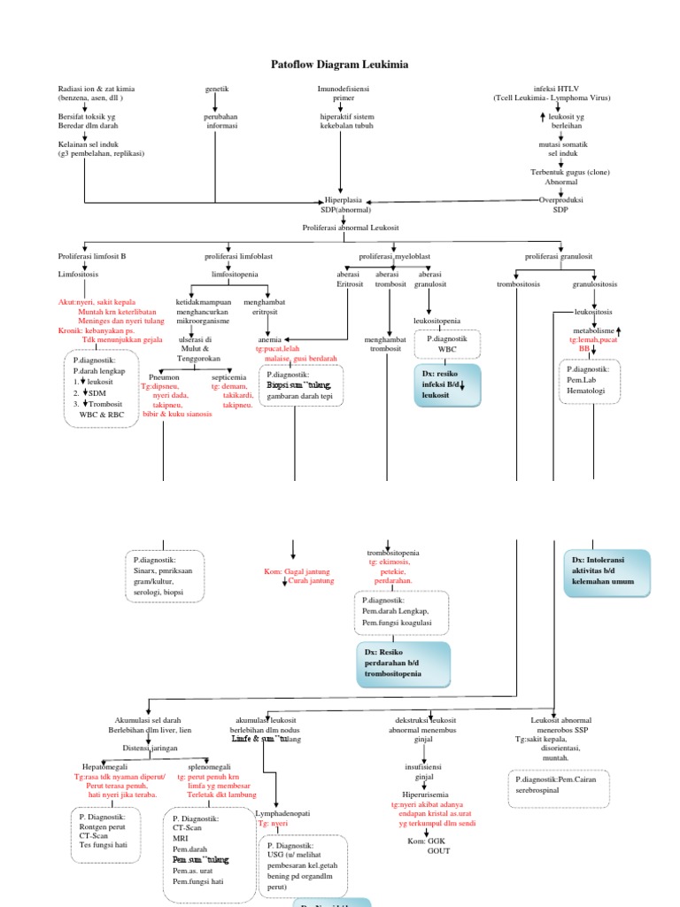Patoflow Diagram Leukimia | PDF