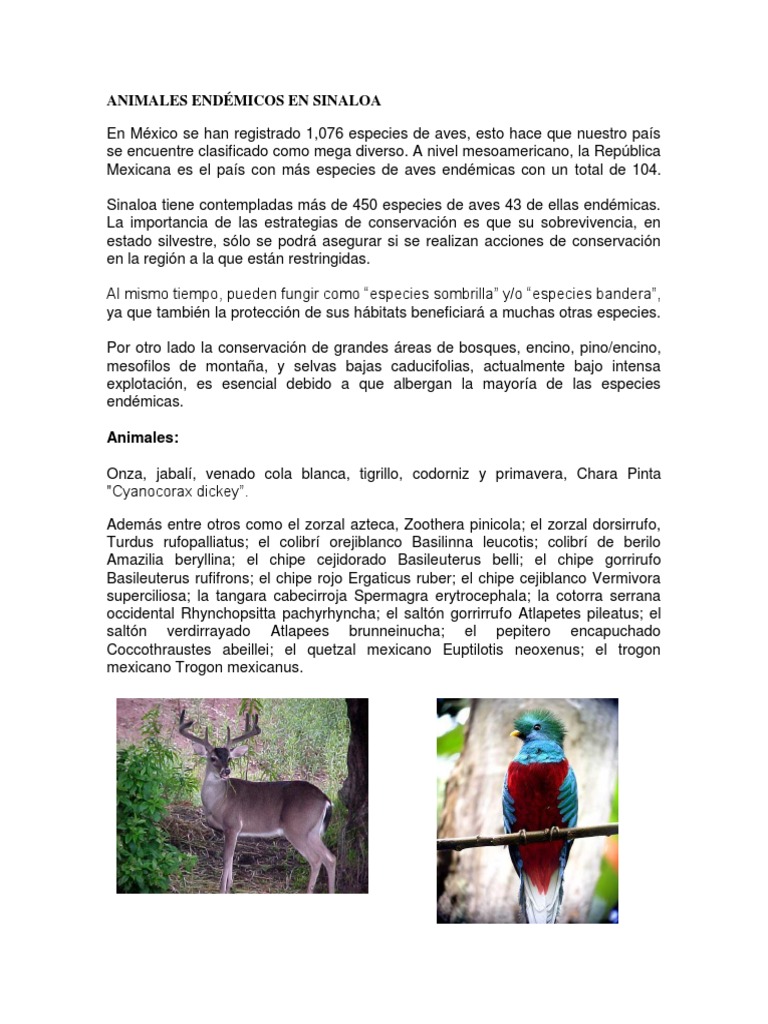 Animales Endémicos en Sinaloa | PDF | Aves | Aves de américa del norte