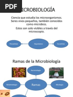 Proteus Ox-19 y Rickettsiosis | PDF | Organismos | Epidemiología