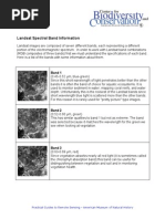 Band Combinations PDF | PDF
