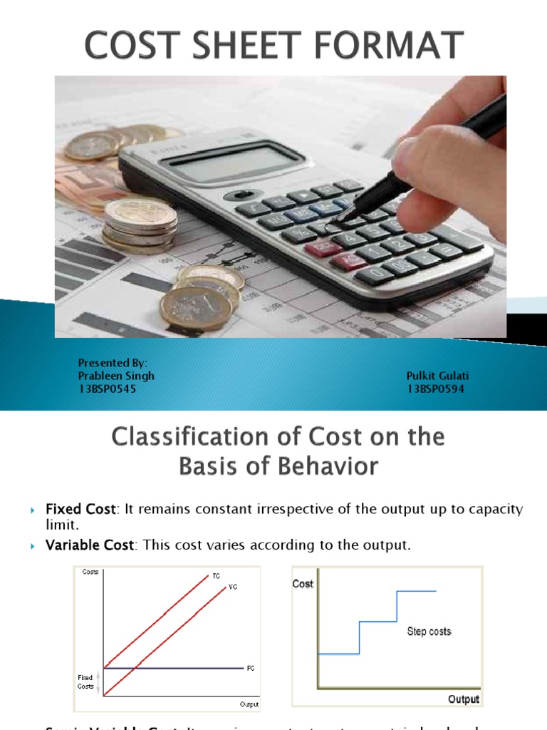 Cost Sheet Format | PDF