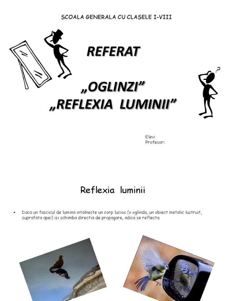 Referat Oglinzi - Fizica Clasa 6