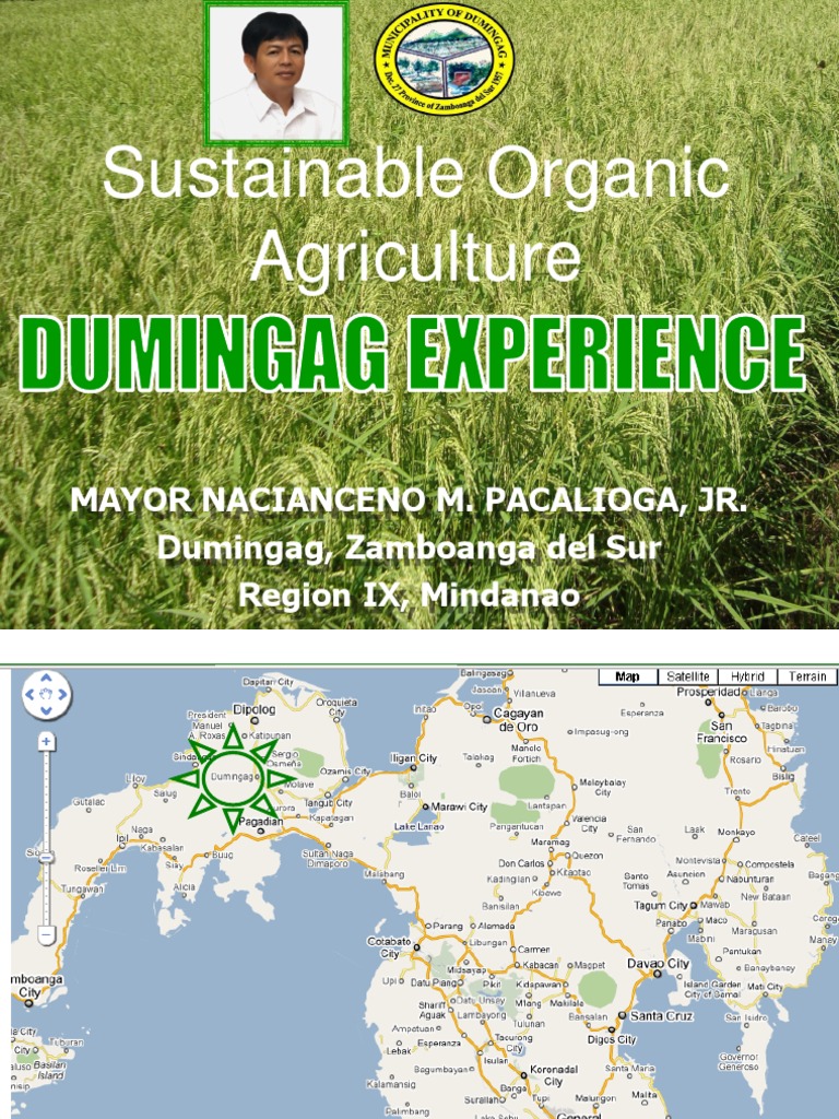 Dumingag Data | PDF | Organic Farming | Agriculture