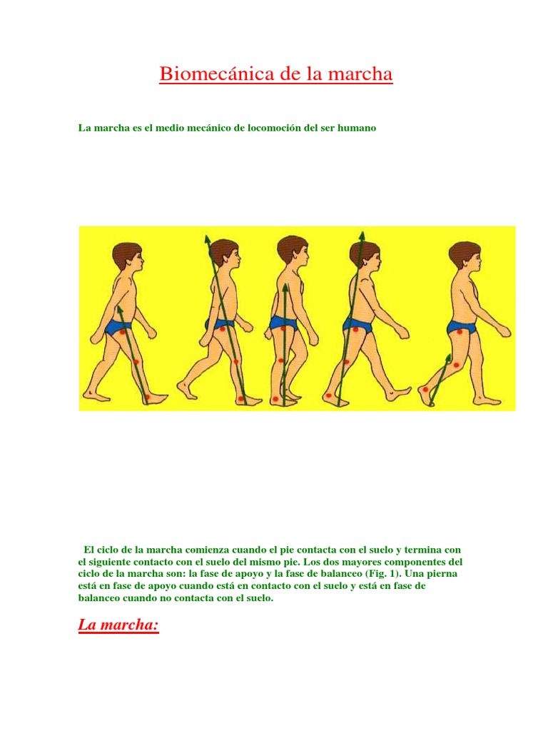 Biomecánica de La Marcha | PDF | Pie | Rodilla
