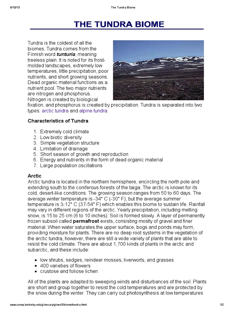 The Tundra Biome | PDF | Biogeography | Earth Sciences