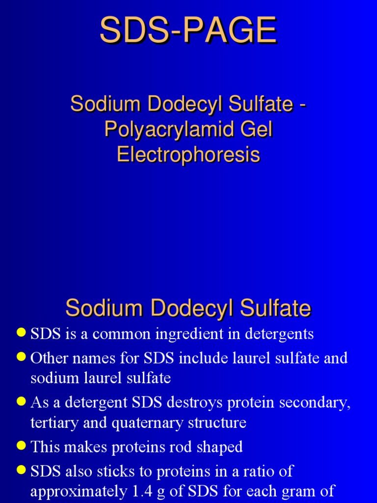 SDS Page | PDF | Sodium Dodecyl Sulfate | Polyacrylamide Gel ...