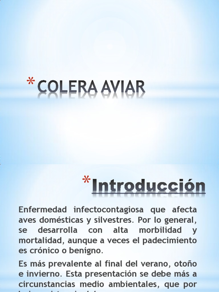 Colera Aviar | PDF | Medicina Veterinaria | Inmunología