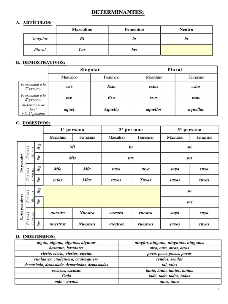 Determinantes y Pronombres | PDF | Adjetivo | Pronombre