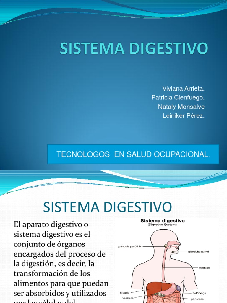 Diapositivas Del Sistema Digestivo | PDF | Sistema digestivo humano ...
